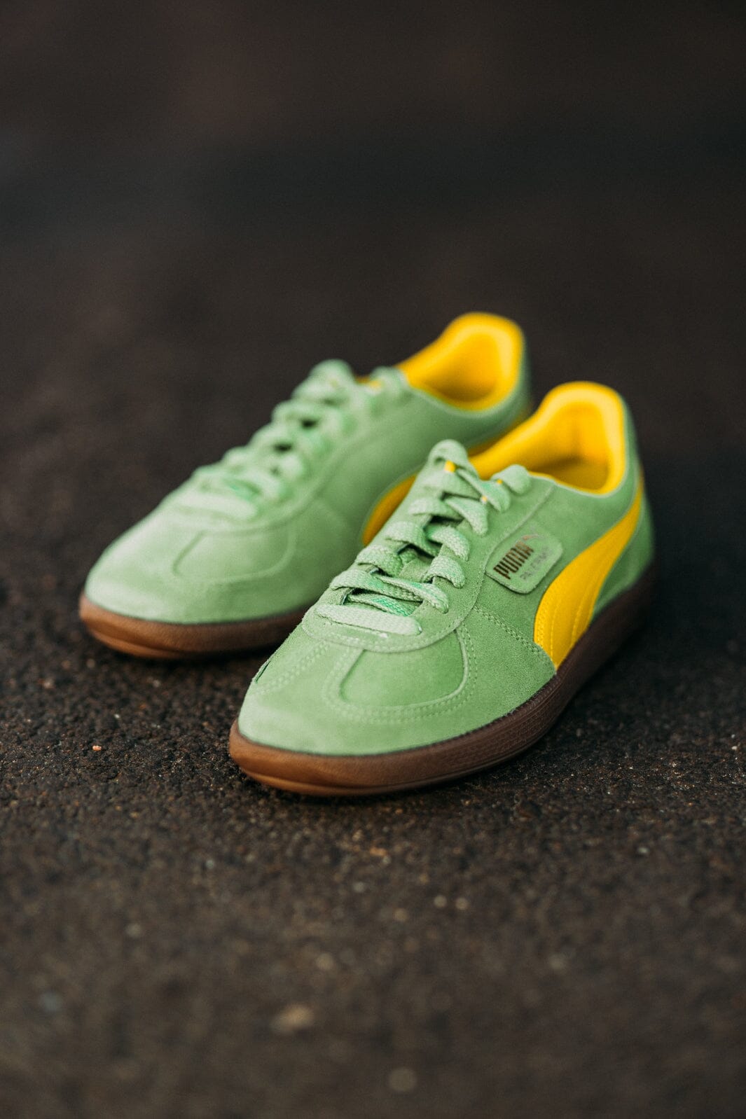Puma - Palermo - Green 18 | Læder sneakers | Grøn-gul